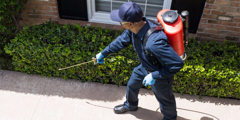 Sydney Pest Control Services - Call Us Now or Get A Free Fast Quote